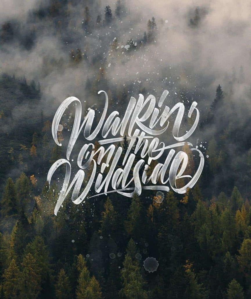 Beautiful Brush Calligraphy - A Chat With David Milan | Lettering Daily