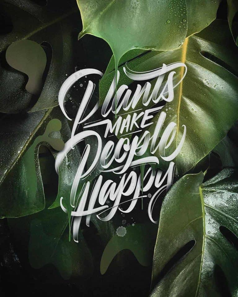 Beautiful Brush Calligraphy - A Chat With David Milan | Lettering Daily