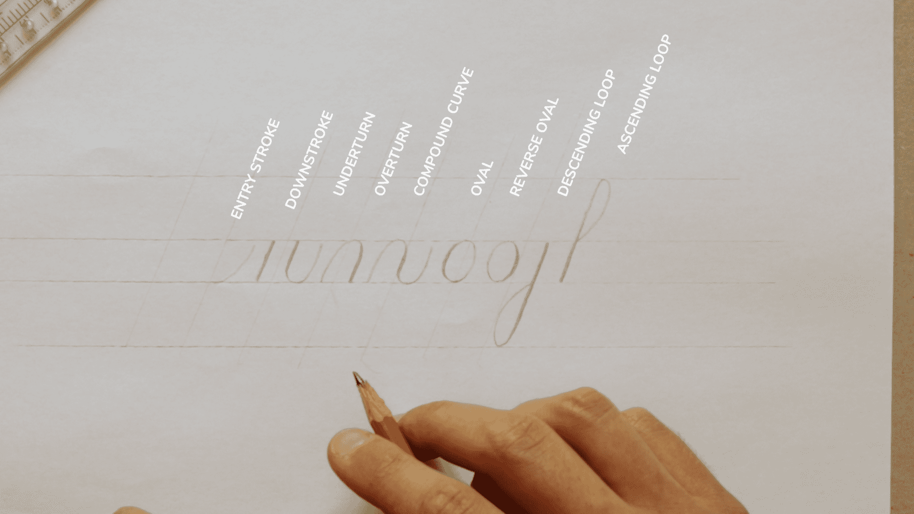 How To Do Pencil Calligraphy For Beginners | Lettering Daily