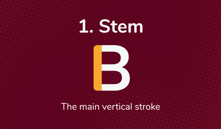 Type Anatomy - The Parts Of Letters (+FREE Poster) | Lettering Daily