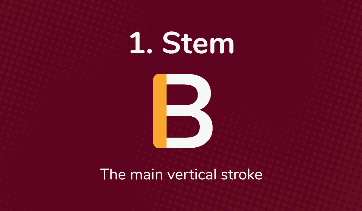 Type Anatomy - The Parts Of Letters (+FREE Poster) | Lettering Daily