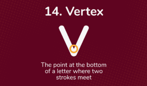 Type Anatomy - The Parts Of Letters (+FREE Poster) | Lettering Daily