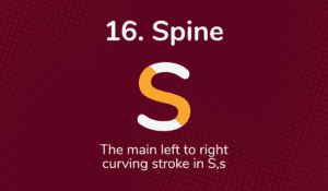 Type Anatomy - The Parts Of Letters (+FREE Poster) | Lettering Daily