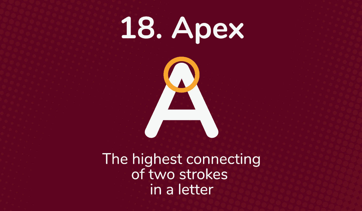 Type Anatomy - The Parts Of Letters (+FREE Poster) | Lettering Daily