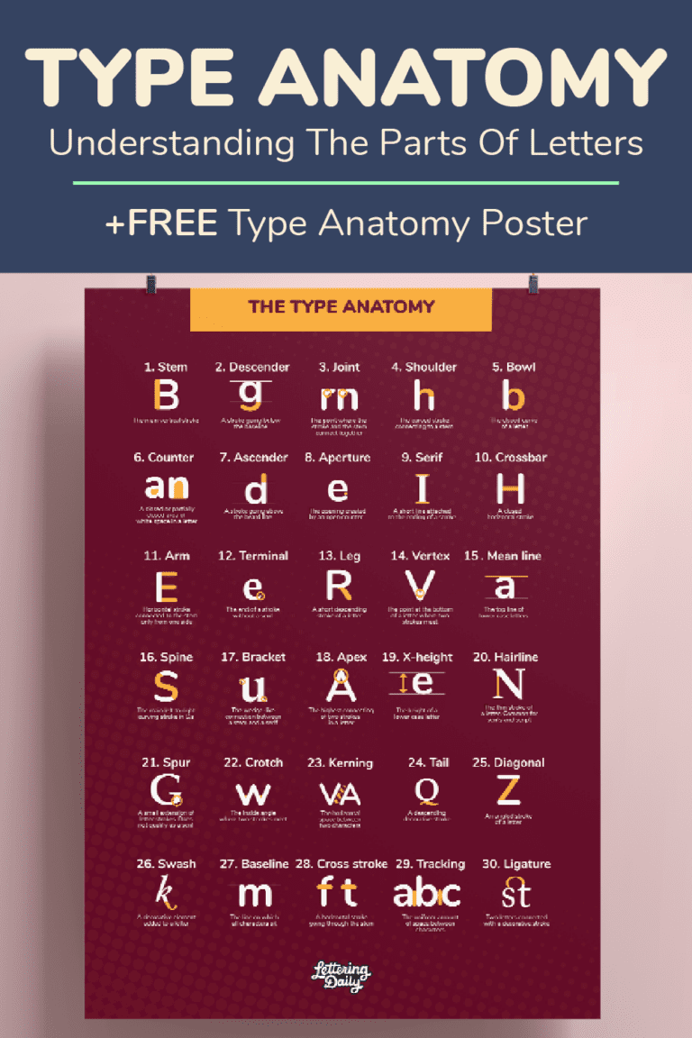 Type Anatomy - The Parts Of Letters (+FREE Poster) | Lettering Daily