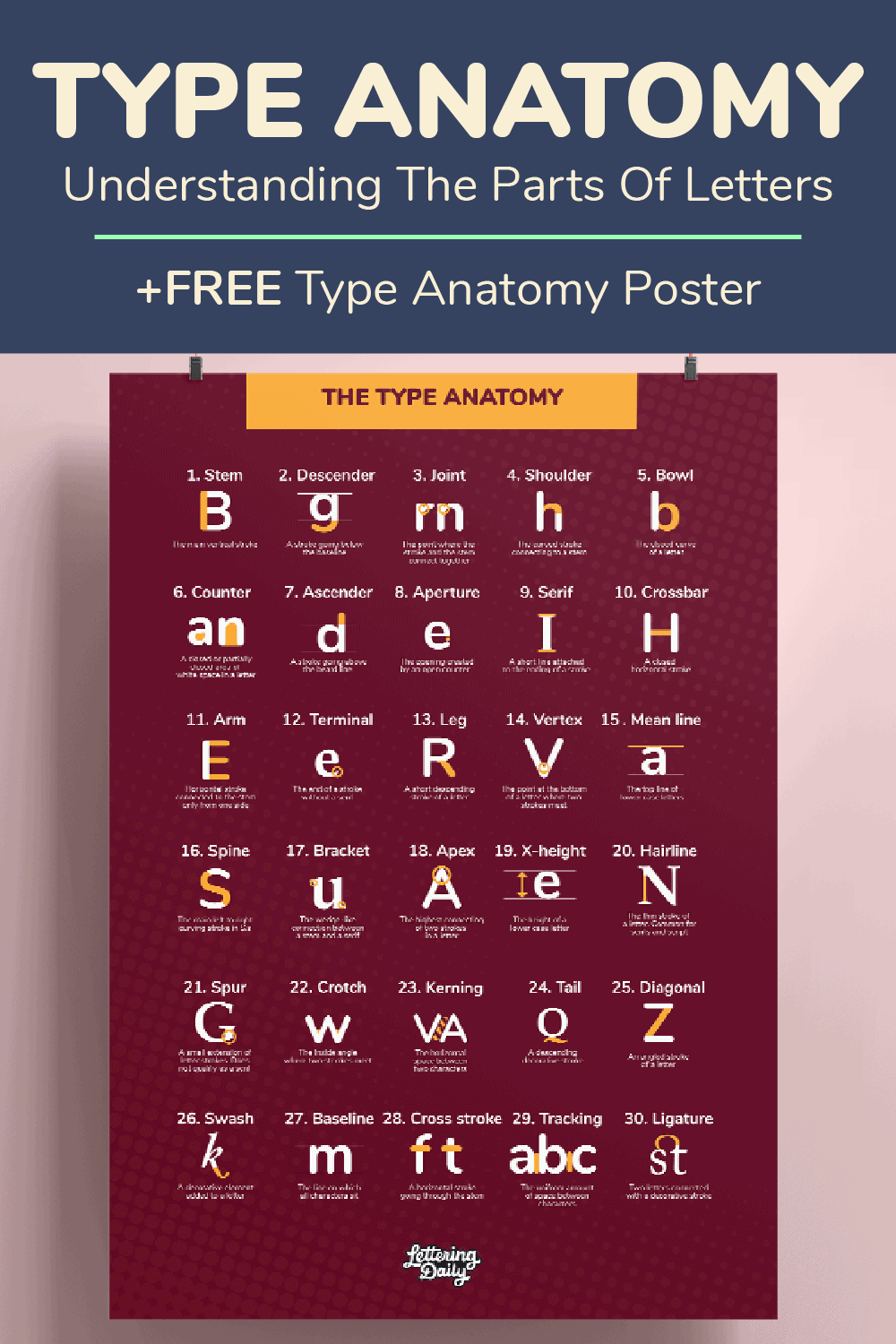 Type Anatomy - The Parts Of Letters (+FREE Poster) | Lettering Daily